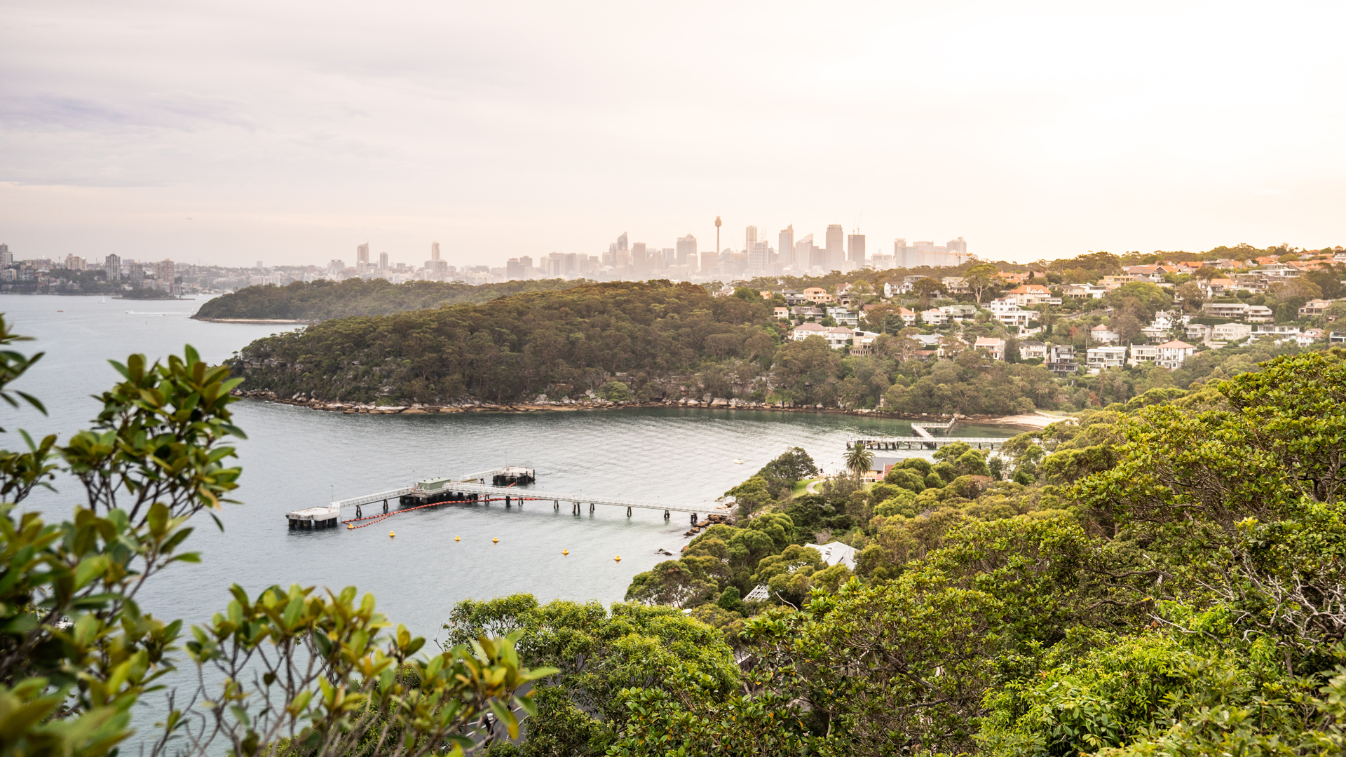 For Lease: Commercial and residential tenancies | Harbour Trust